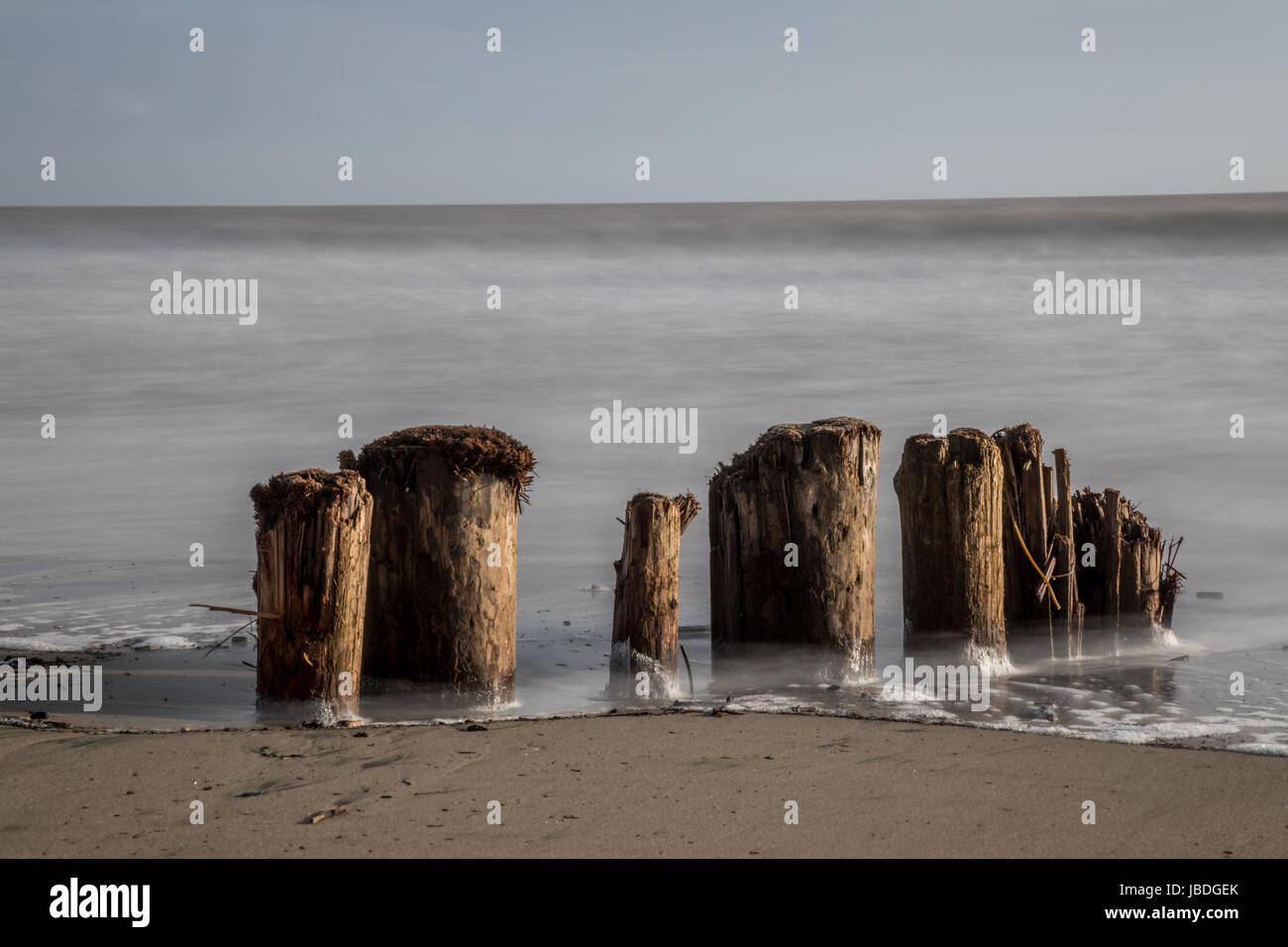 Old Wharf Pilings on Beach in Santa Cruz Stock Photo - Alamy