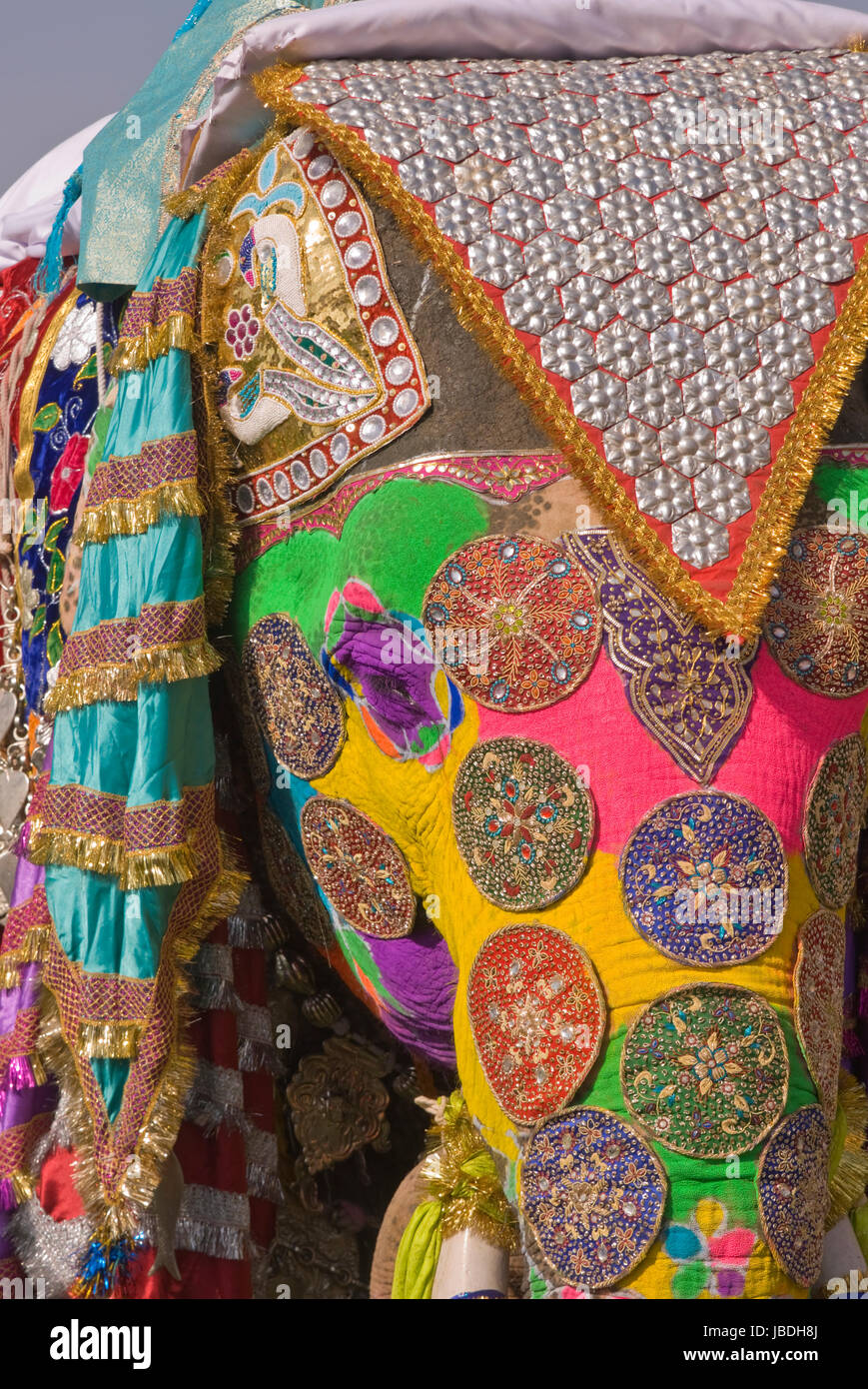 Decorated elephant at the annual elephant festival in Jaipur, Rajasthan ...