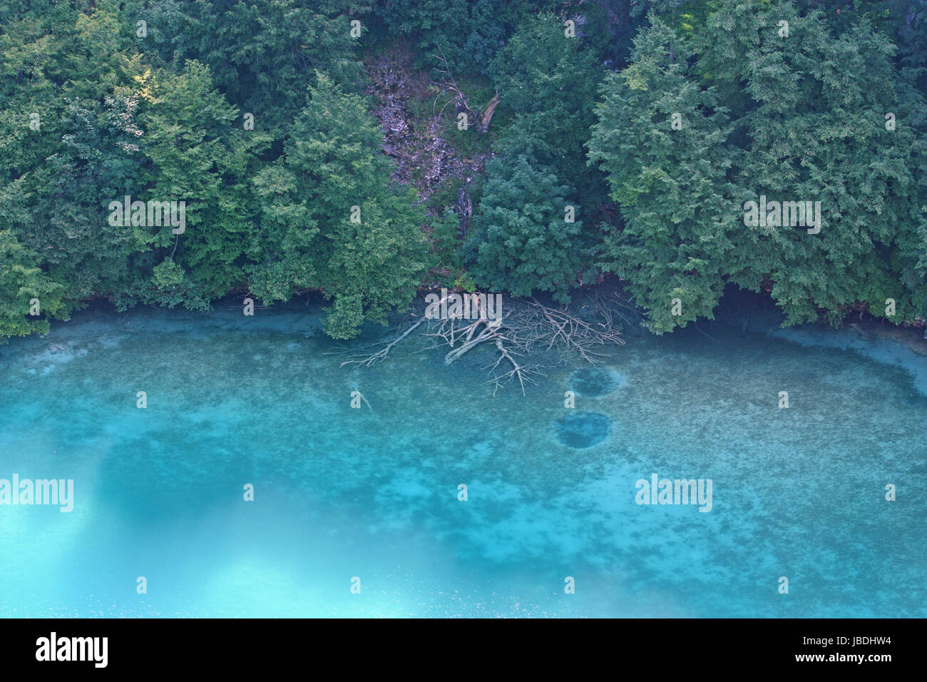 Submerged tree branches hi-res stock photography and images - Alamy