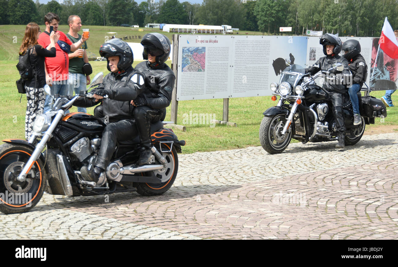 Riders on their steel horses. Harley Davidson Motorcycle Club Stock ...
