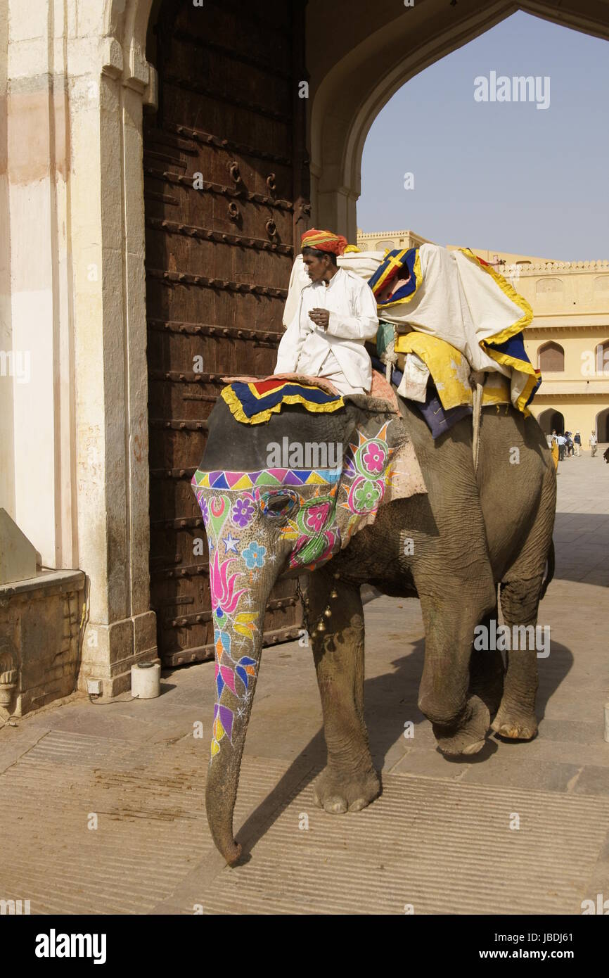 Mahout riding a decorated elephant through the entrance of Amber Fort ...