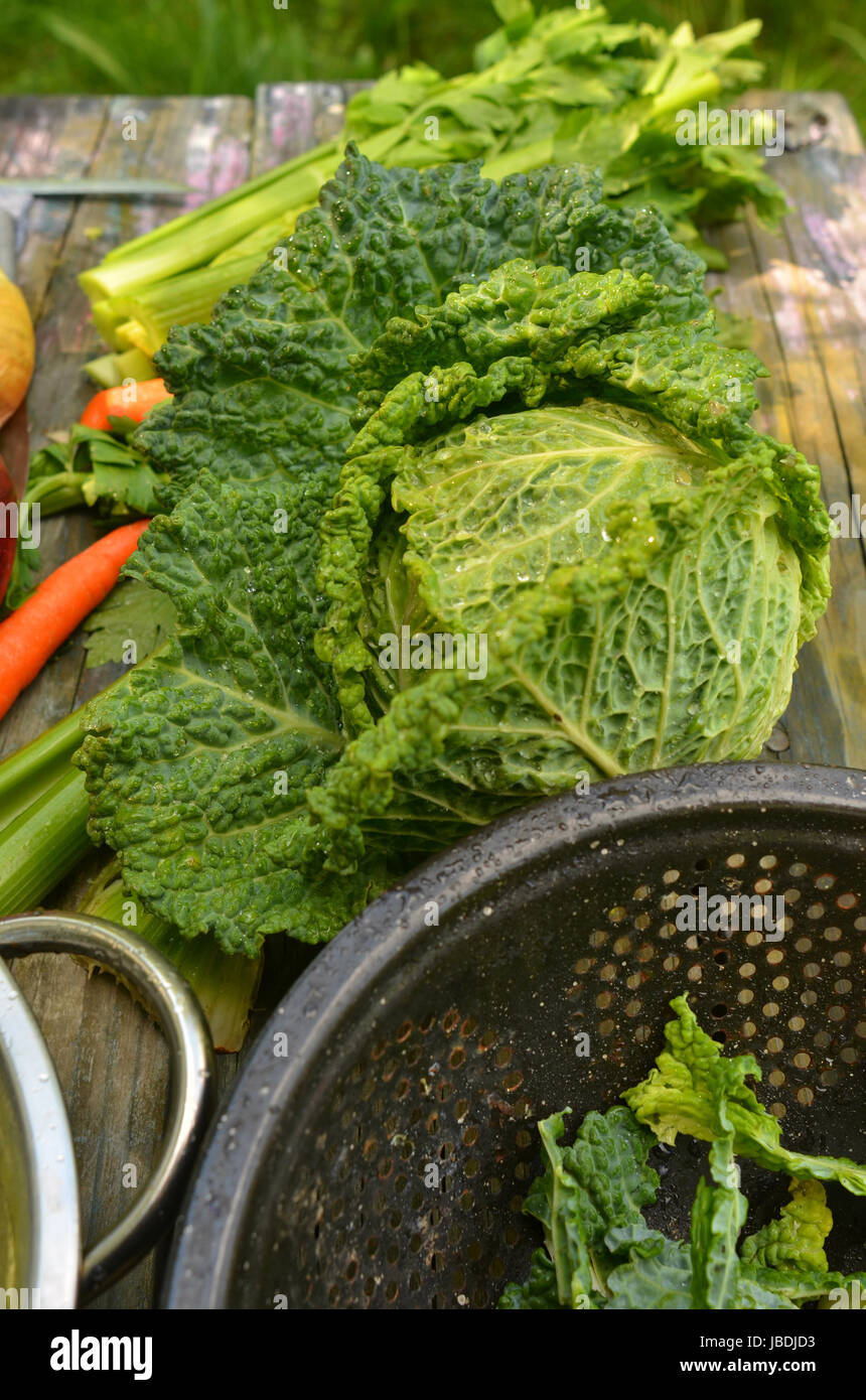 Savoy cabbage and vegetables Stock Photo - Alamy
