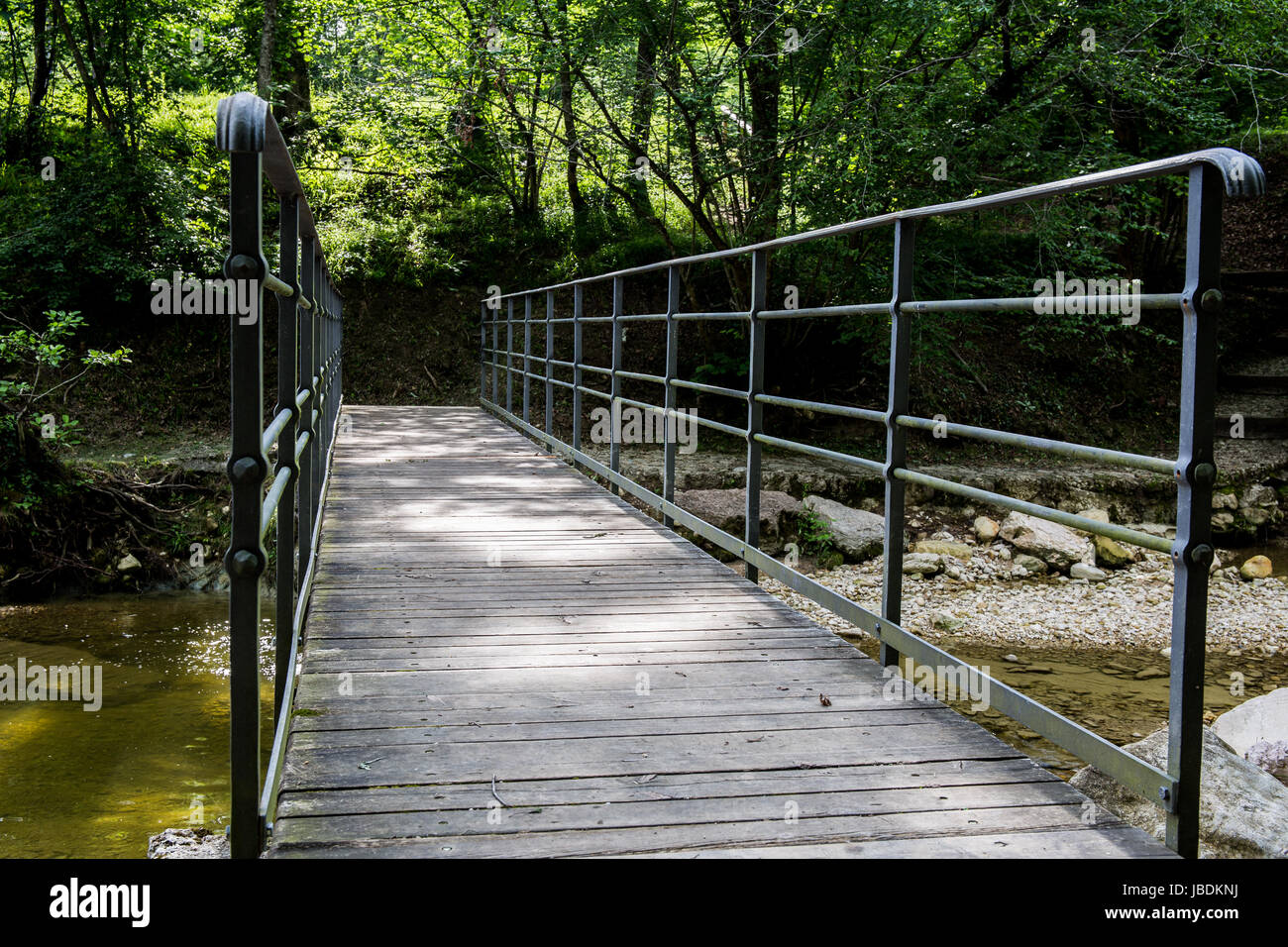 Small wooden bridge in the middle of the forest Stock Photo - Alamy