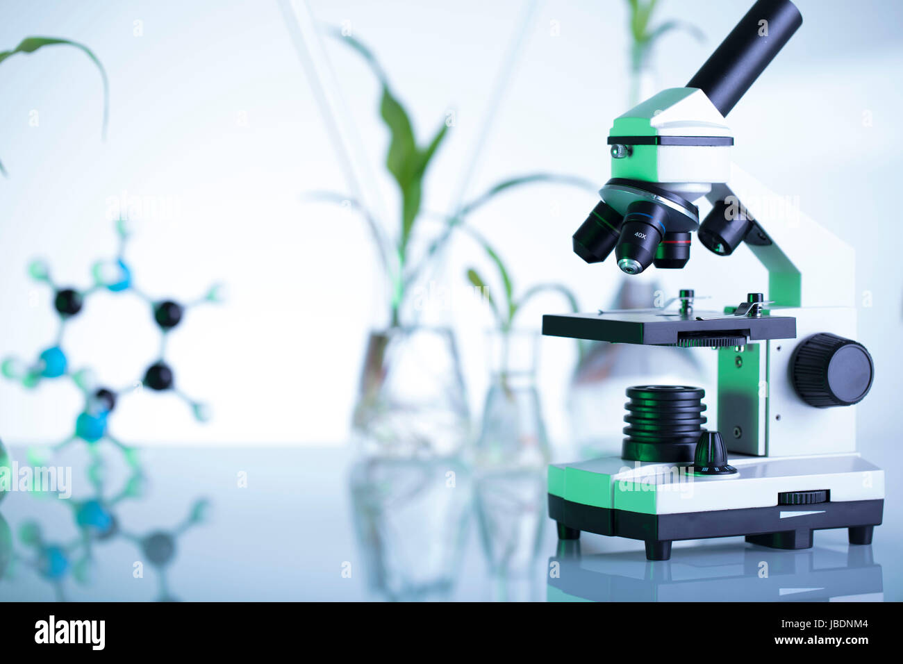 Plants in laboratory. Biotechnolgy concept. White background and glass ...