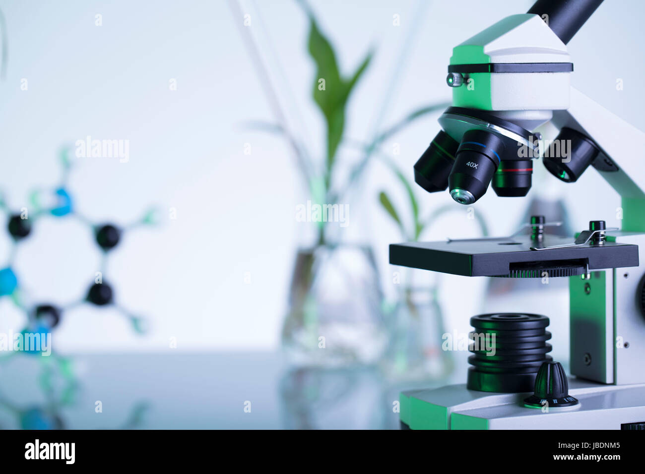 Plants in laboratory. Biotechnolgy concept. White background and glass ...