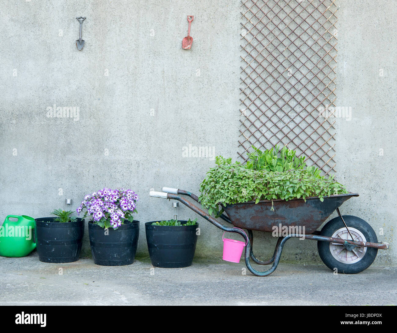 Wheel barrow plants hi-res stock photography and images - Alamy