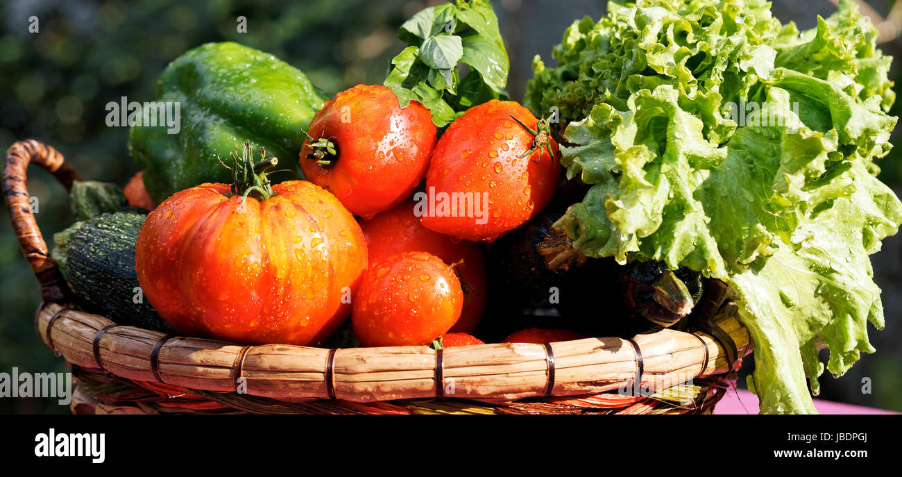 wet vegetables on table in garden Stock Photo - Alamy