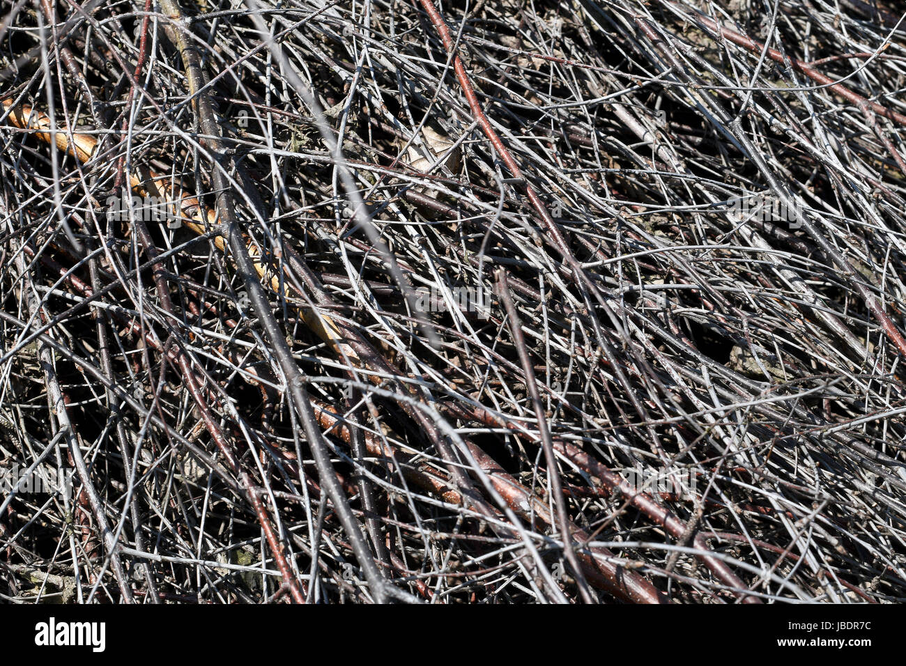 Background with sticks and branches Stock Photo - Alamy