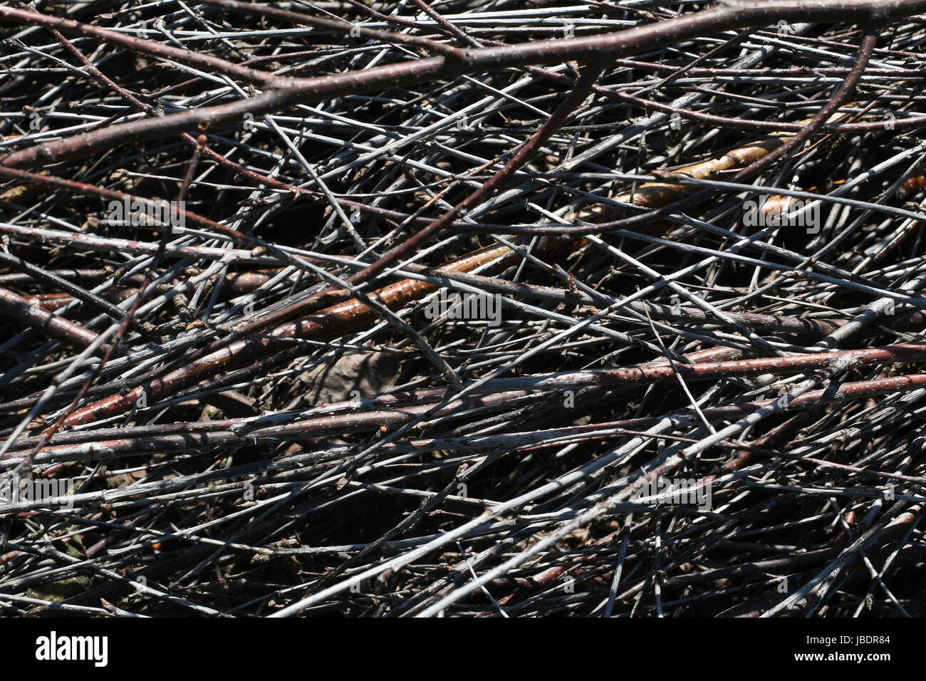 Background with sticks and branches Stock Photo - Alamy