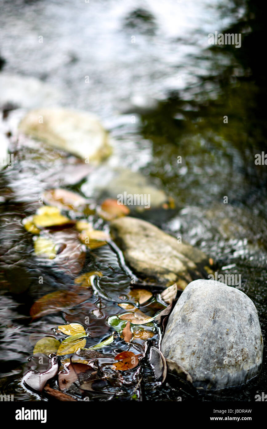 Geographic creek hi-res stock photography and images - Alamy