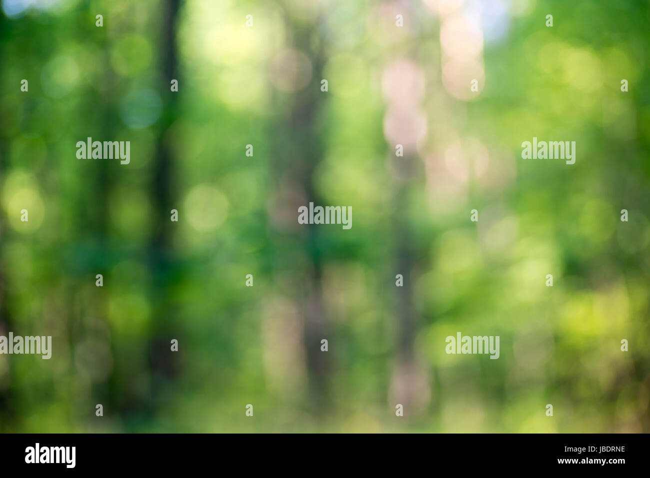 nature blurred spring forest background Stock Photo - Alamy