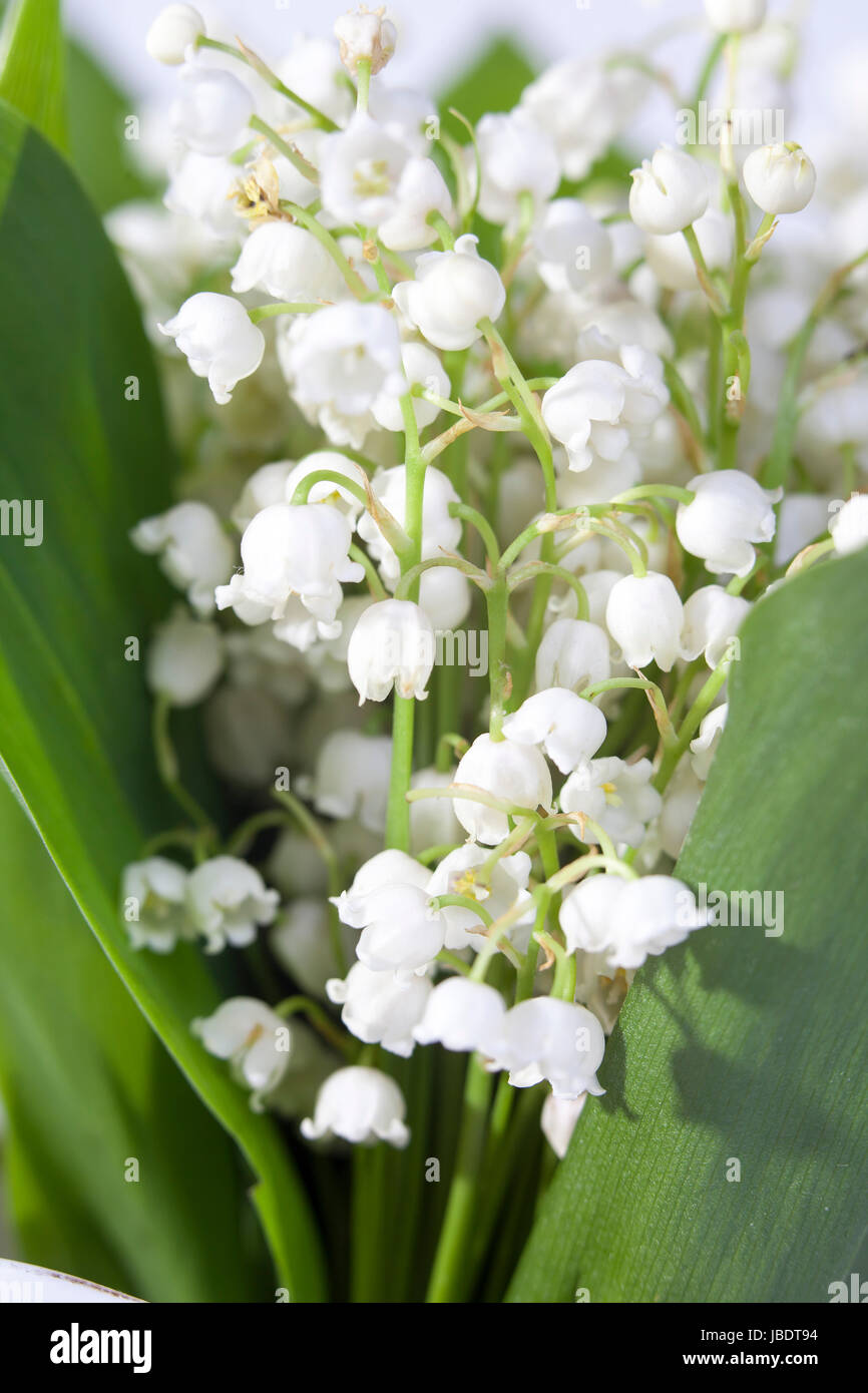 Botan valley hi-res stock photography and images - Alamy