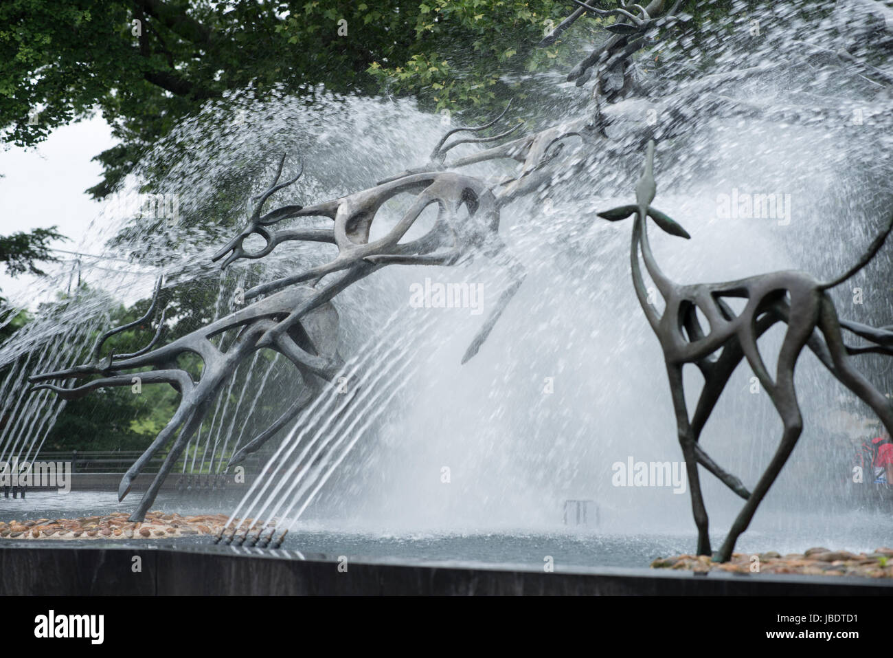 PHILADELPHIA, PA - MAY 30: Philadelphia Zoo, Amercia's First Zoo Stock ...