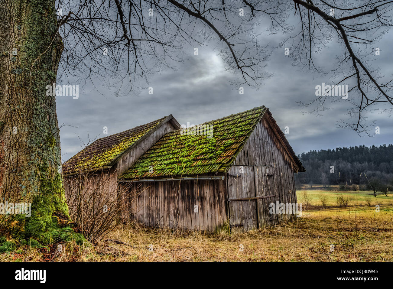 old wooden shed Stock Photo - Alamy