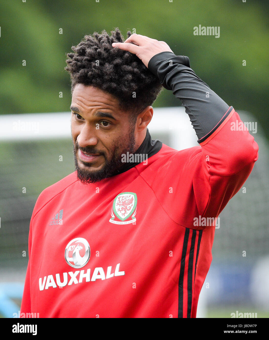Football captain ashley williams hi-res stock photography and images ...