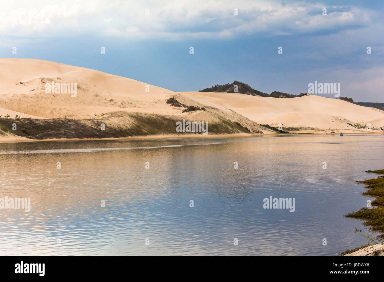 Big sand dunes in woody cape section of Addo Elephant Park Stock Photo ...