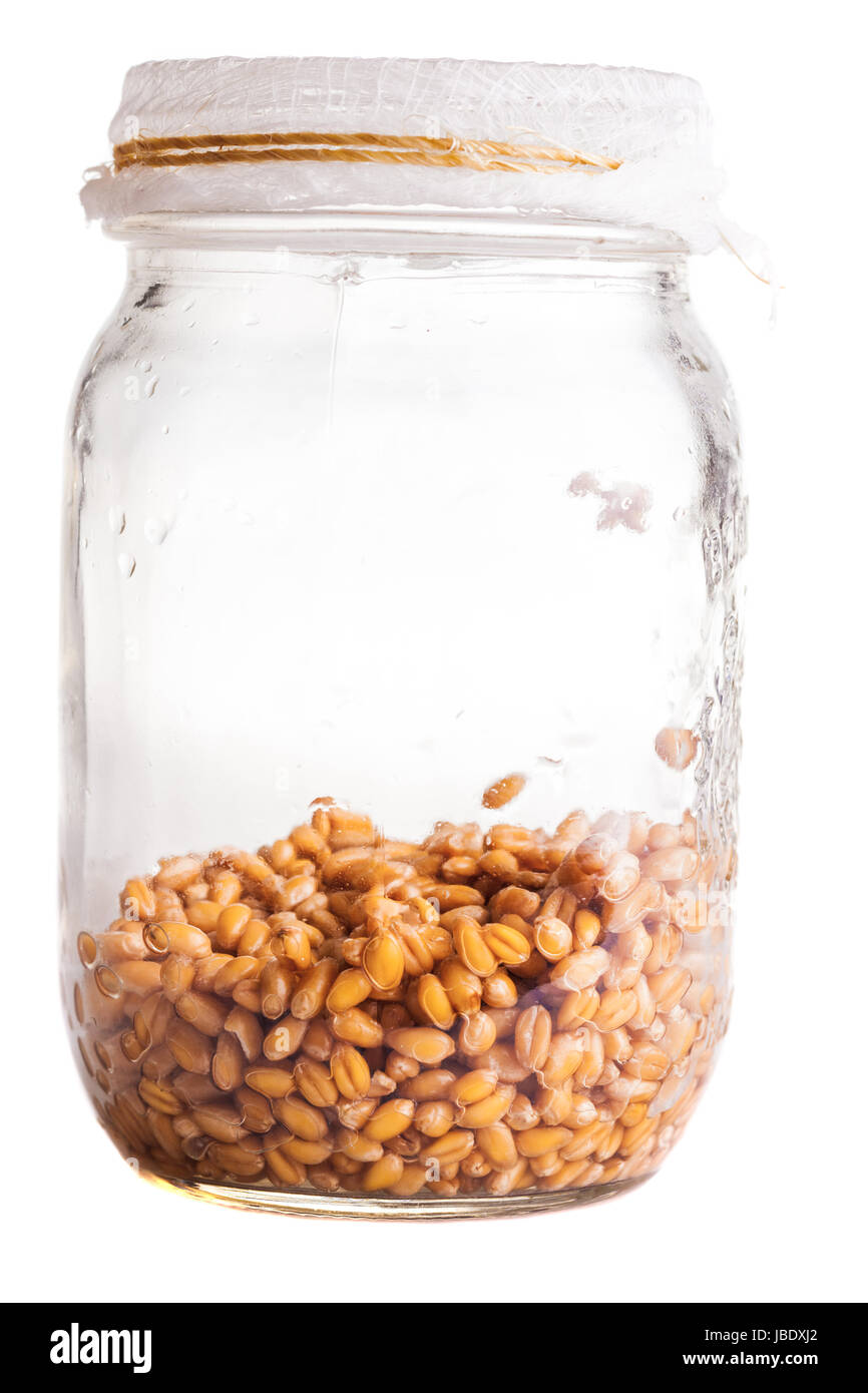 Weat seeds hi-res stock photography and images - Alamy