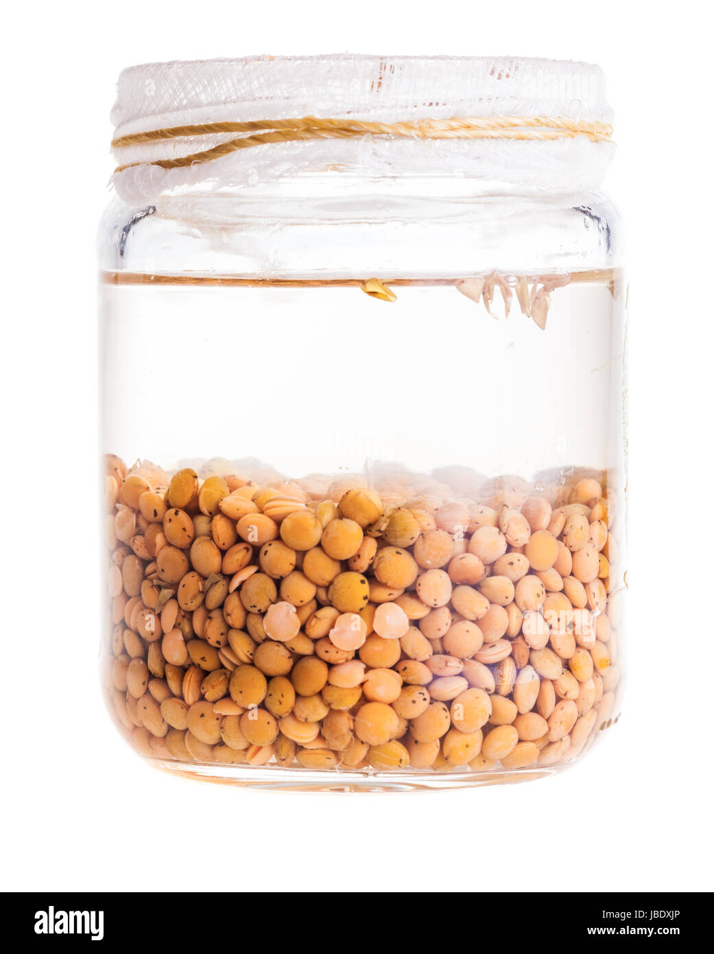 Soaked lentils hi-res stock photography and images - Alamy