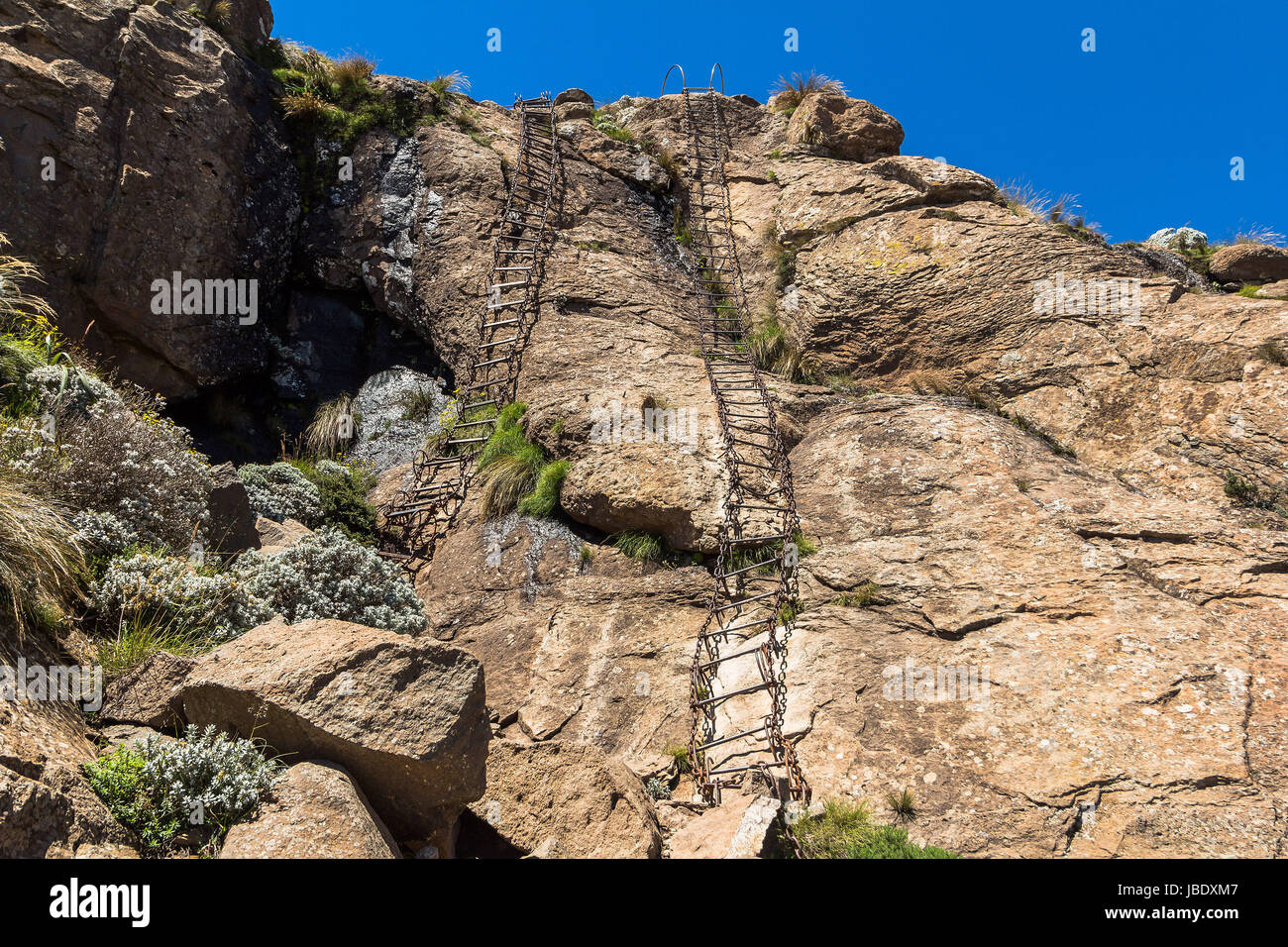 The chain ladders on the Sentinel Hike, Drakensberge Stock Photo - Alamy