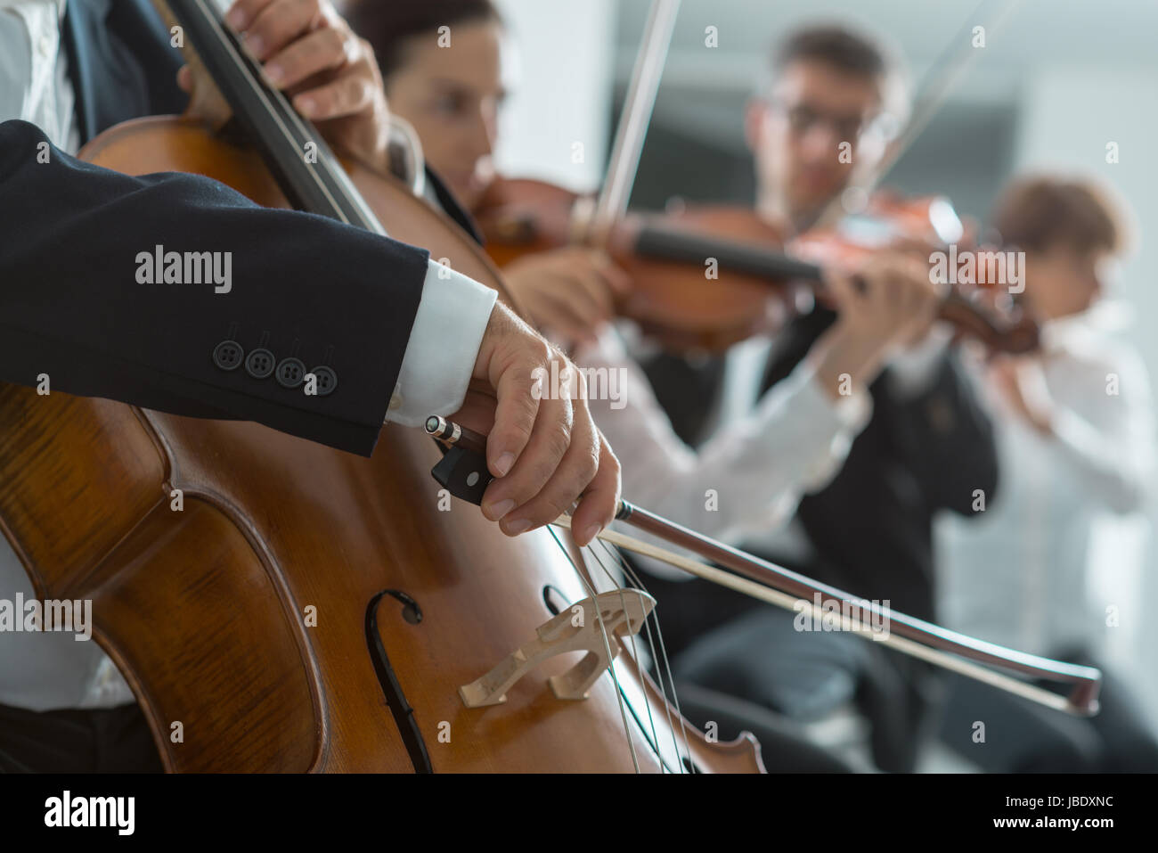 String section of classical music symphony orchestra performing ...