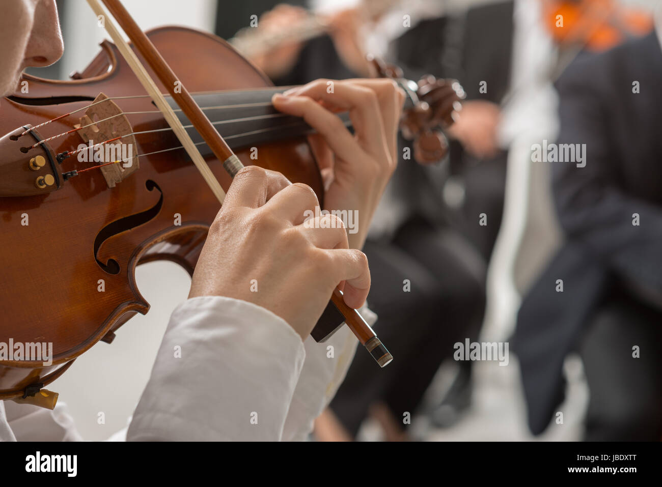Classical music symphony orchestra string section performing, female ...