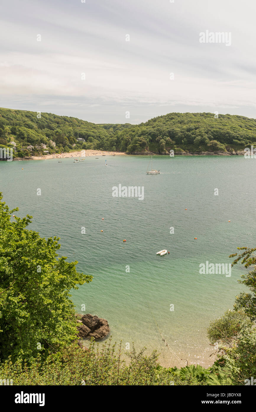 Looking over to Mill Bay from Salcombe, Devon UK Stock Photo - Alamy