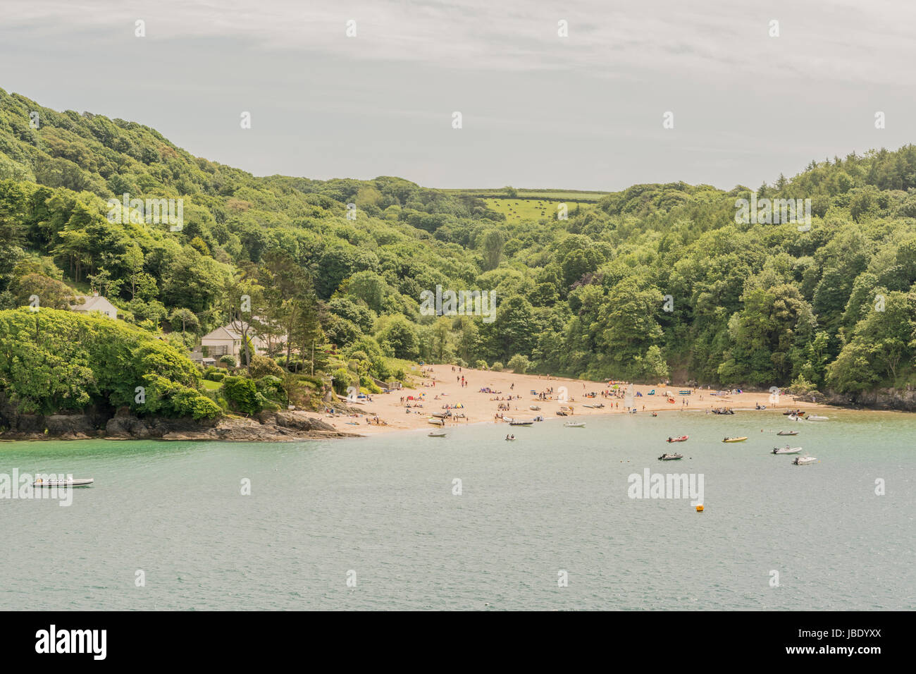 Looking over to Mill Bay from Salcombe, Devon UK Stock Photo - Alamy