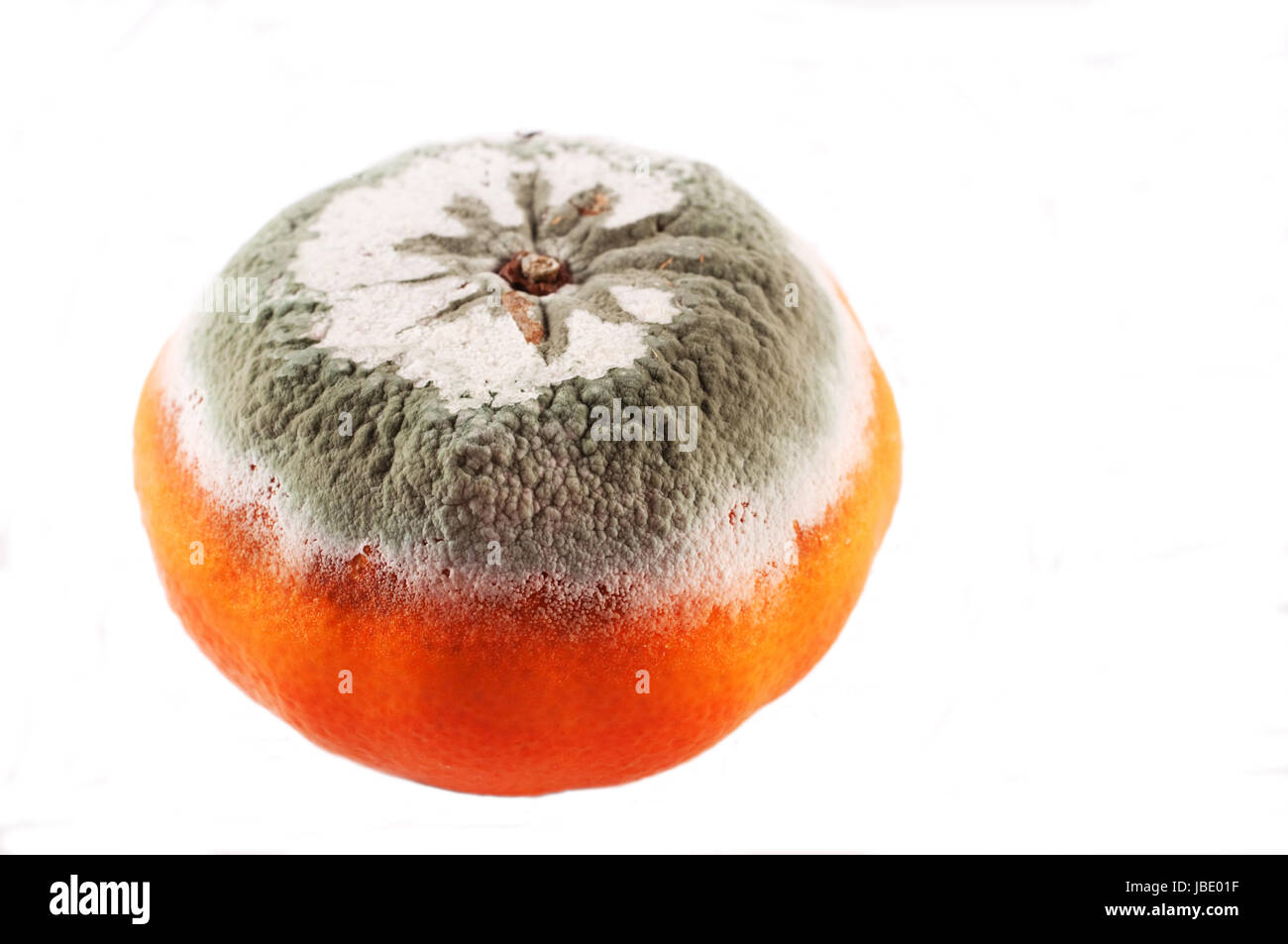 Mouldy orange fruit hi-res stock photography and images - Alamy