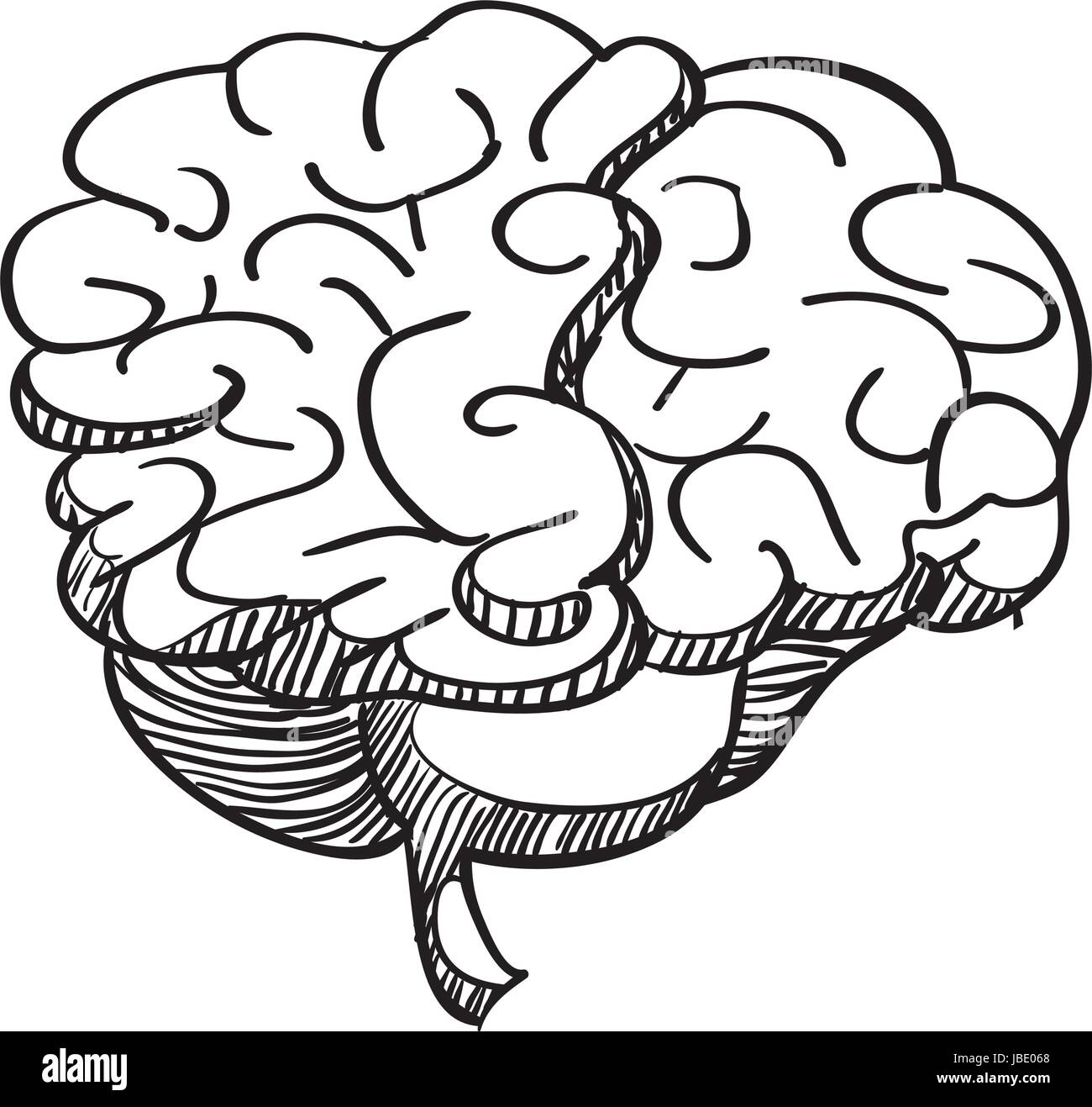 Human brain draw Stock Vector Image & Art - Alamy