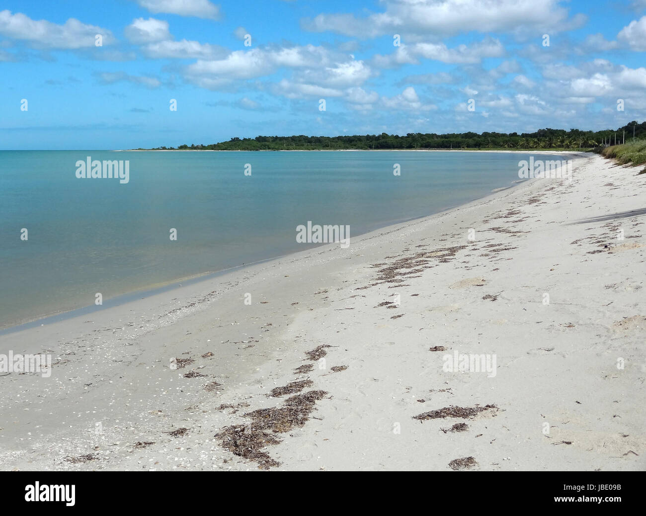 idyllic sunny beach scenery at the Gulf of Mexico Stock Photo - Alamy