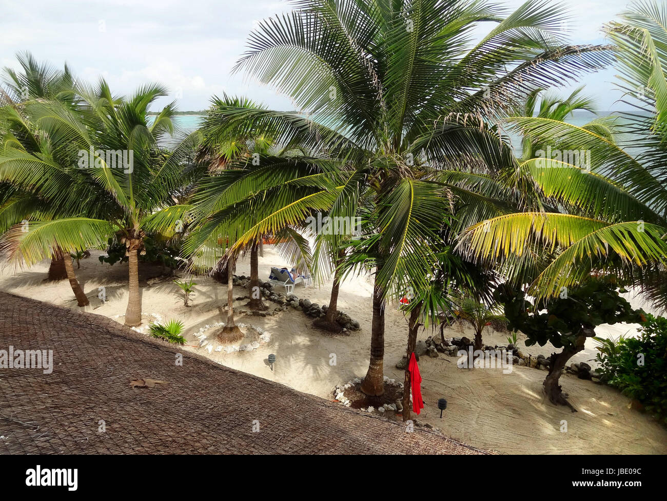 idyllic beach scenery around Coba, a village in Mexico Stock Photo - Alamy