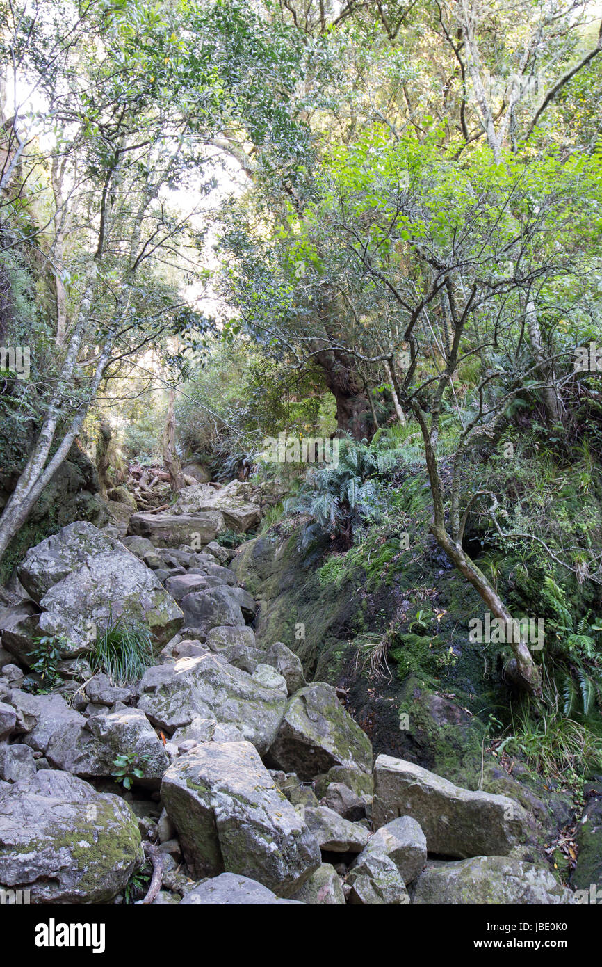 Skeleton gorge table mountain hi-res stock photography and images - Alamy