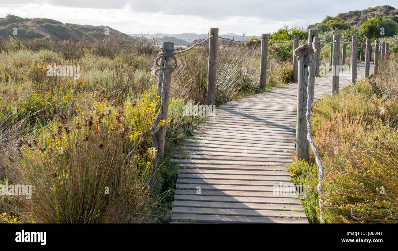 Wooden path crossing grass field in summer Stock Photo - Alamy