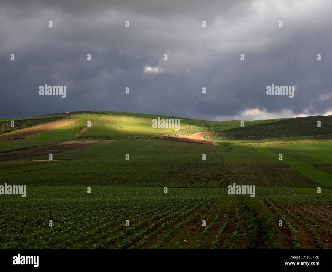 Morocco ifrane national park hi-res stock photography and images - Alamy