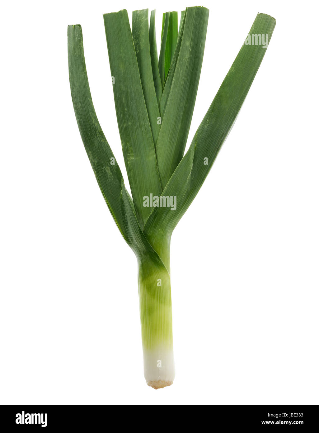 Large Leek Isolated On White Background Stock Photo - Alamy