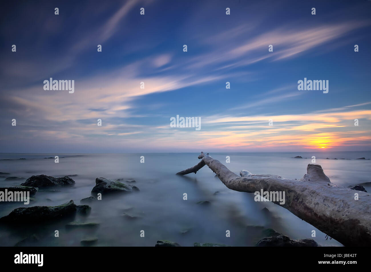 death tree sunset Stock Photo - Alamy