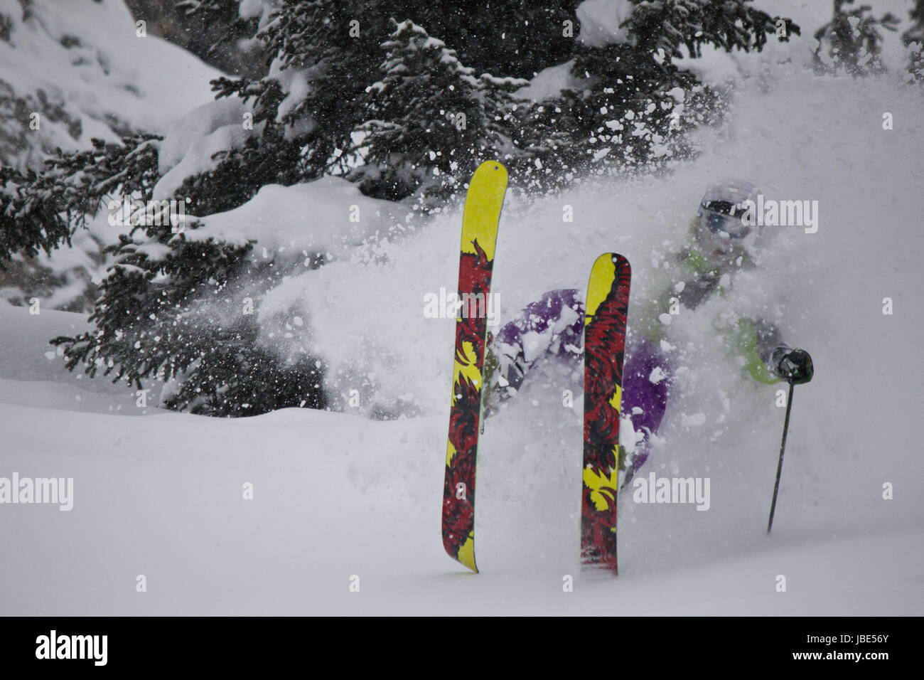 skier in deep powder Stock Photo - Alamy