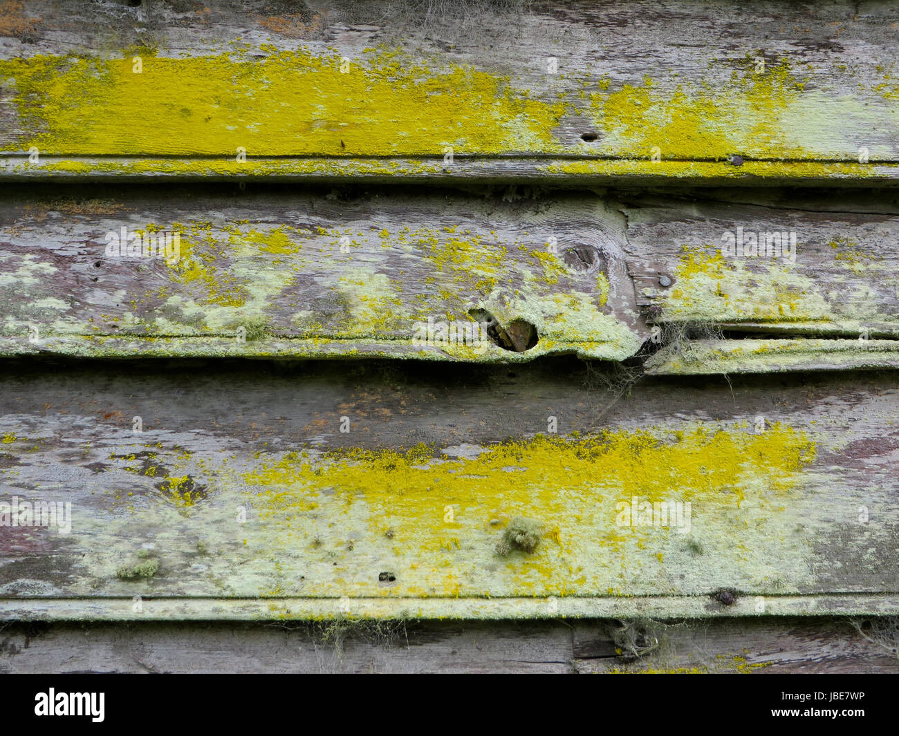 Wood revetment hi-res stock photography and images - Alamy