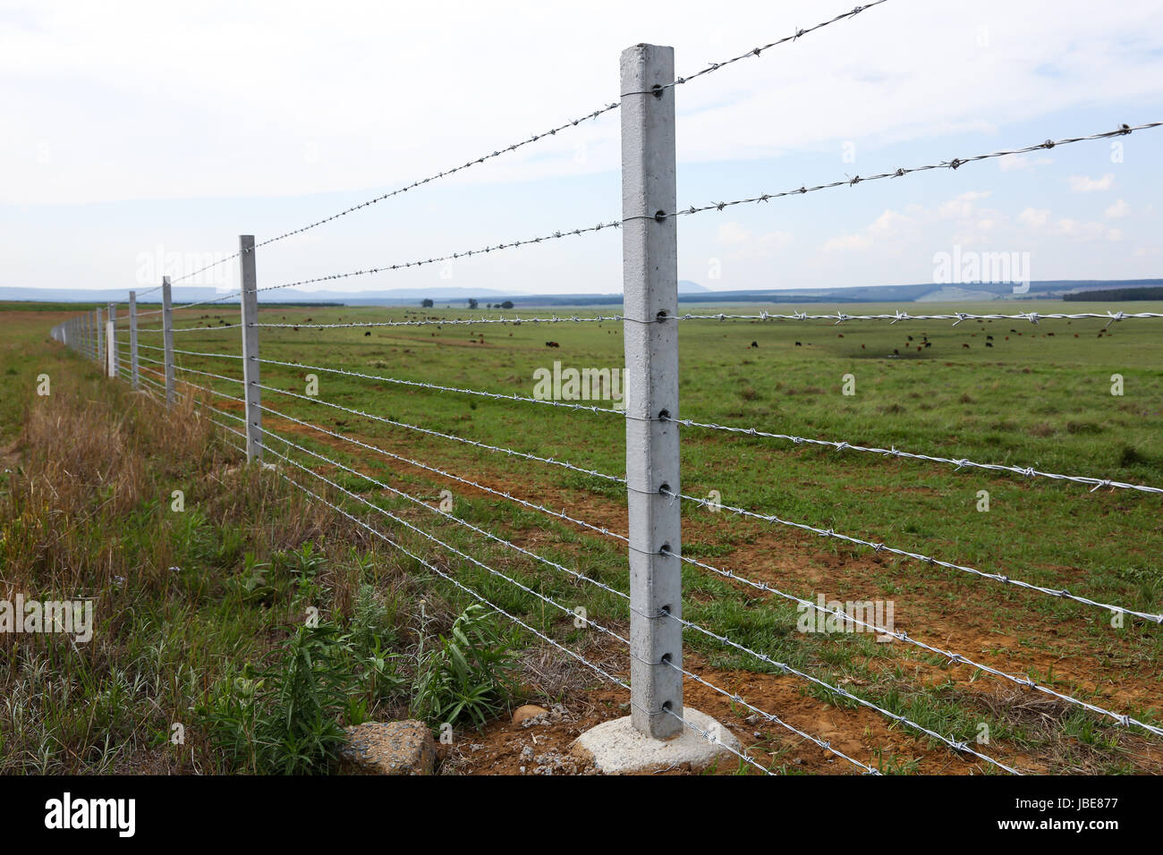 Bob wire and the fence posts store