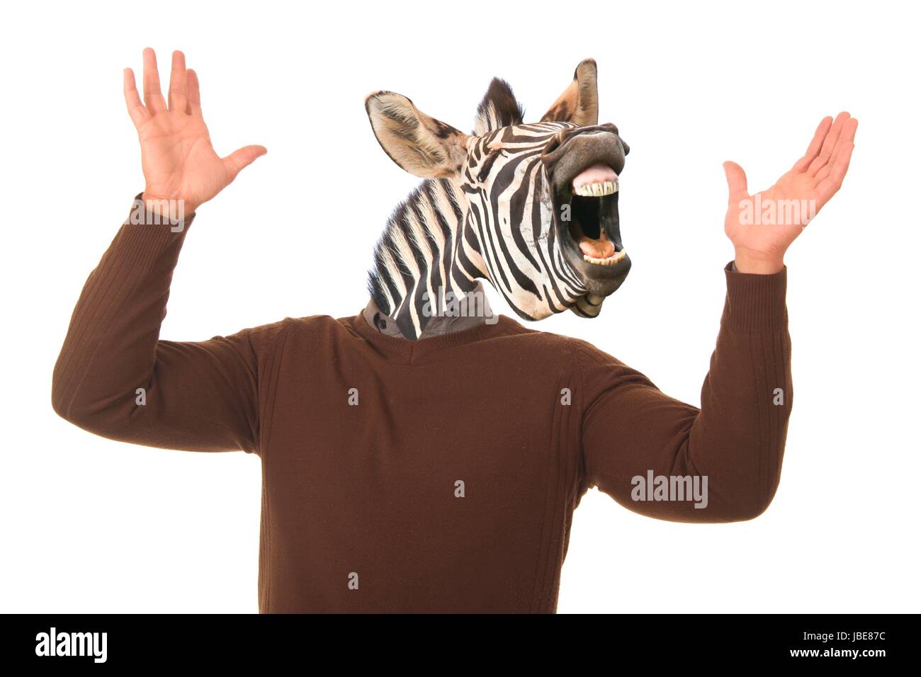 Laughing zebra face on a man's body with hands outstretched Stock Photo ...