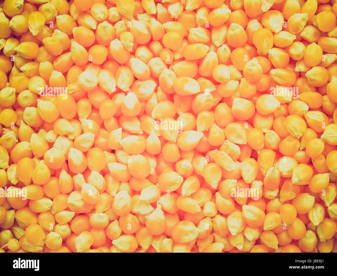 Vintage retro looking Maize or corn useful as a background Stock Photo ...