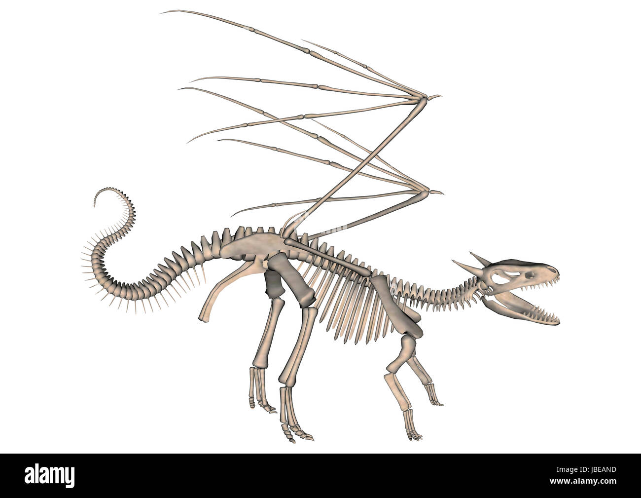 Dragon Anatomy Skeleton
