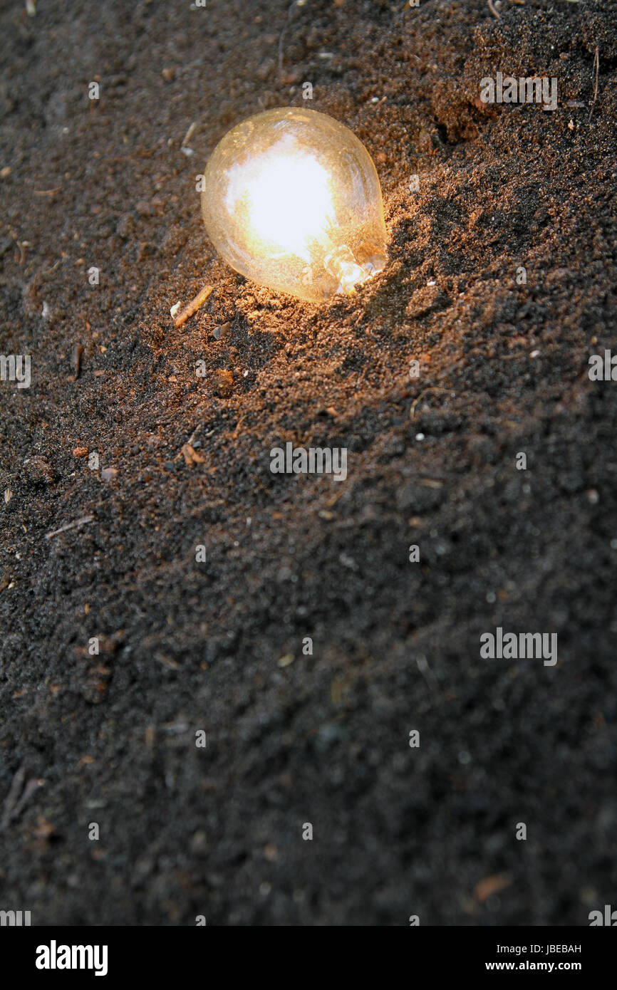 renewable energy - light bulb planted in soil Stock Photo - Alamy