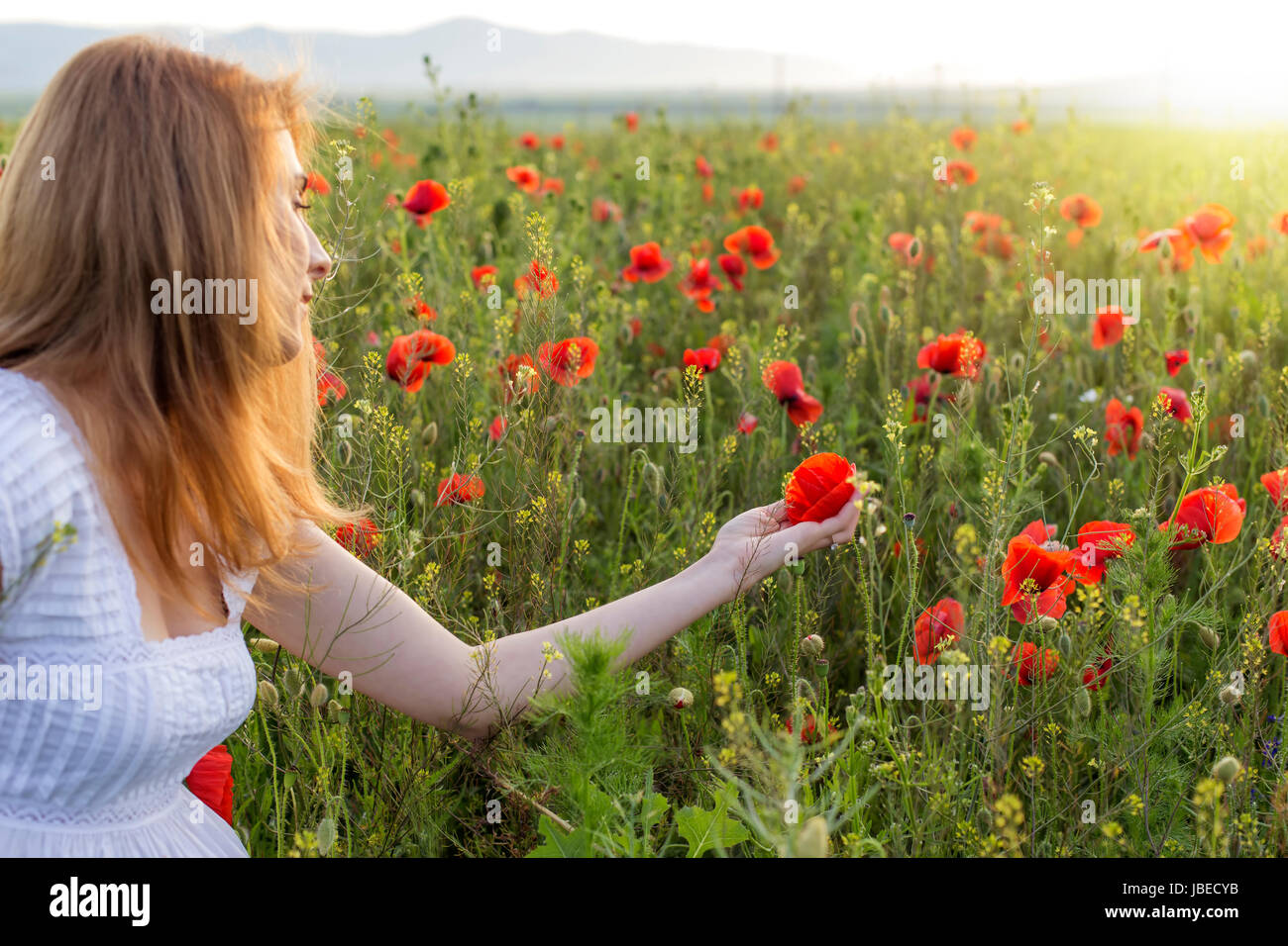 Woman in poppy field hi-res stock photography and images - Alamy