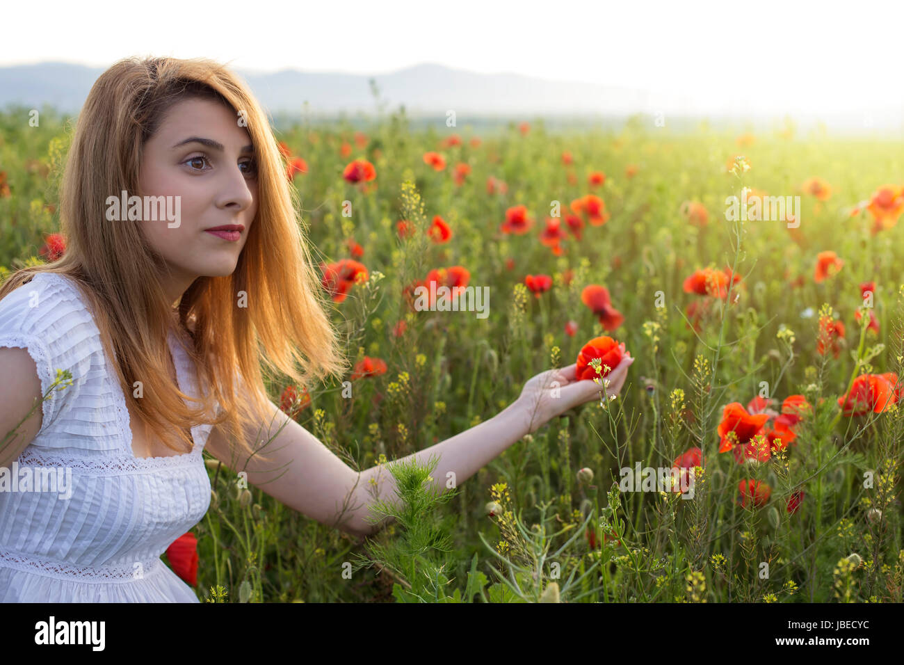 Woman in poppy field hi-res stock photography and images - Alamy