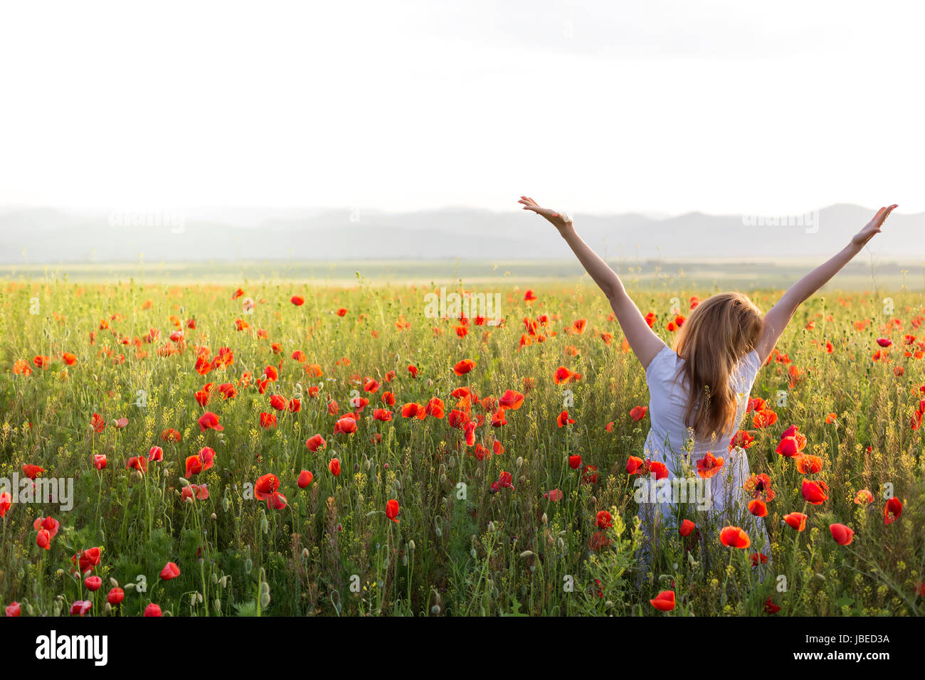 Beautiful young woman in poppy field with hands up turned back Stock ...
