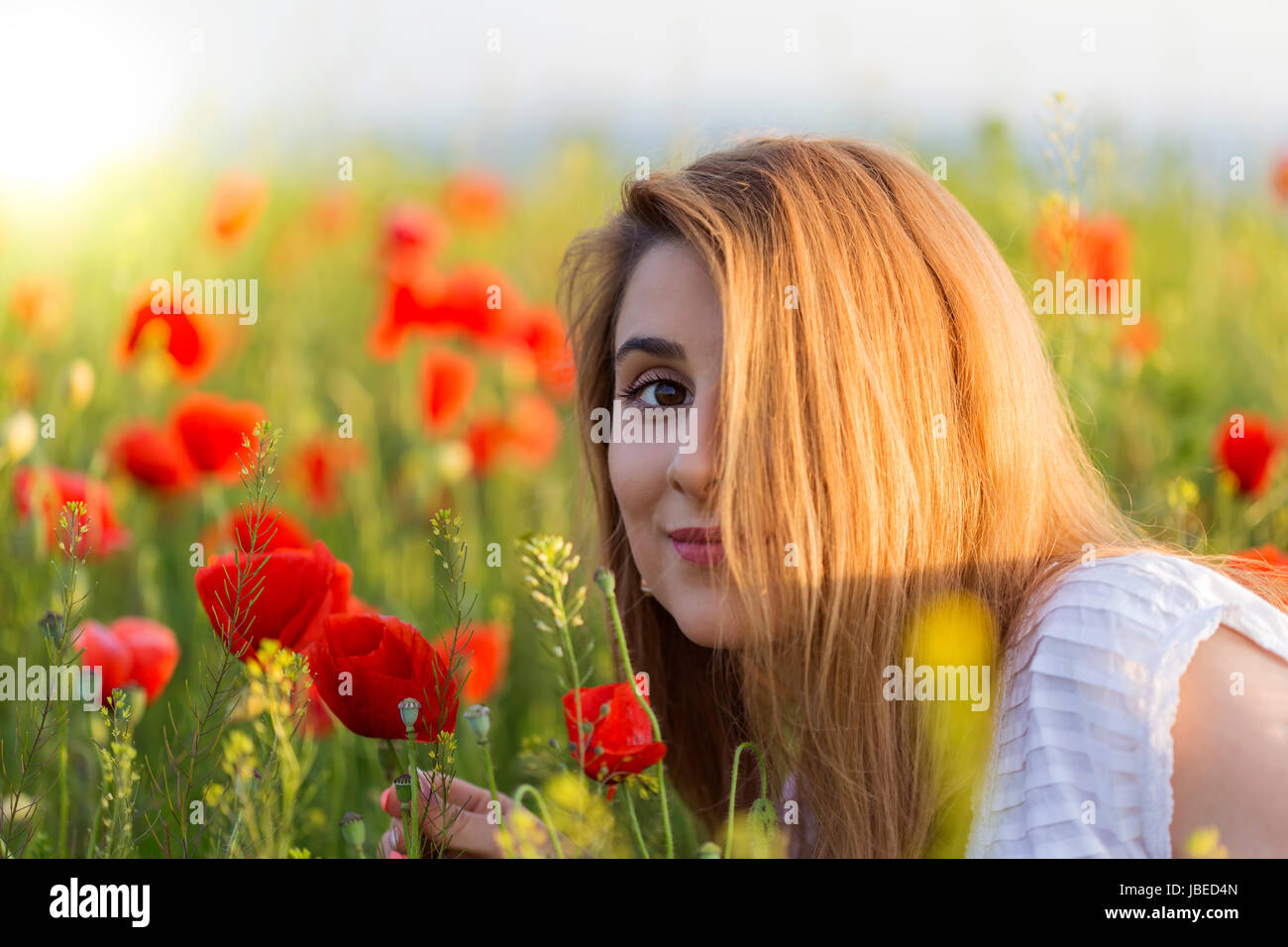 Woman in poppy field hi-res stock photography and images - Alamy