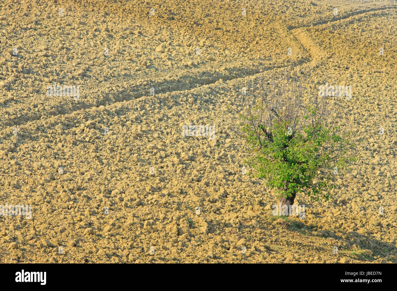 Umbrien Feld im Herbst - Umbria field in fall 02 Stock Photo - Alamy