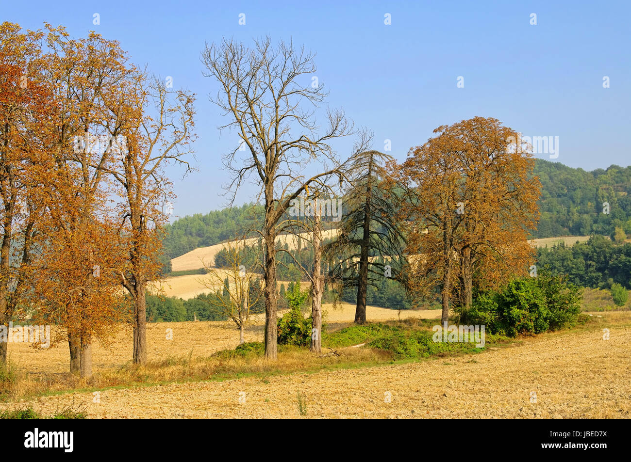 Umbrien Herbst - Umbria autumn 01 Stock Photo - Alamy