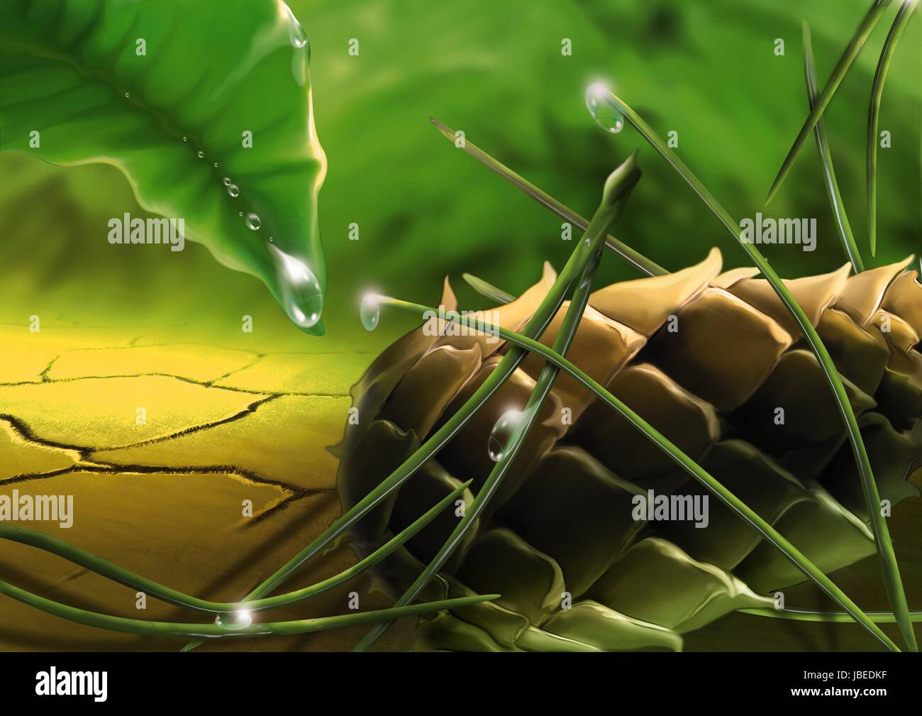 Plants drawing painting hi-res stock photography and images - Alamy